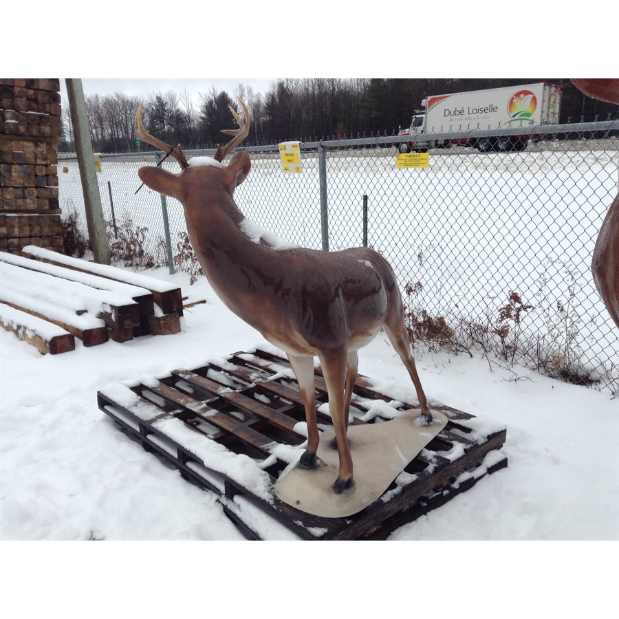 DÉCORATION FIBRE DE VERRE - CHEVREUIL PANACHE VERITABLE