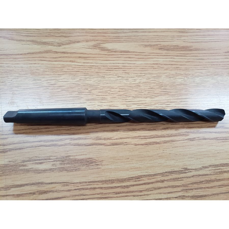 FORET A QUEUE CONIQUE MORSE HSS